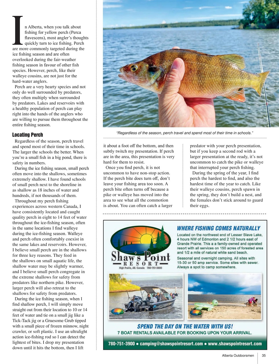 Alberta Outdoors Magazine - Volume 25 Issue 10 Back Issue