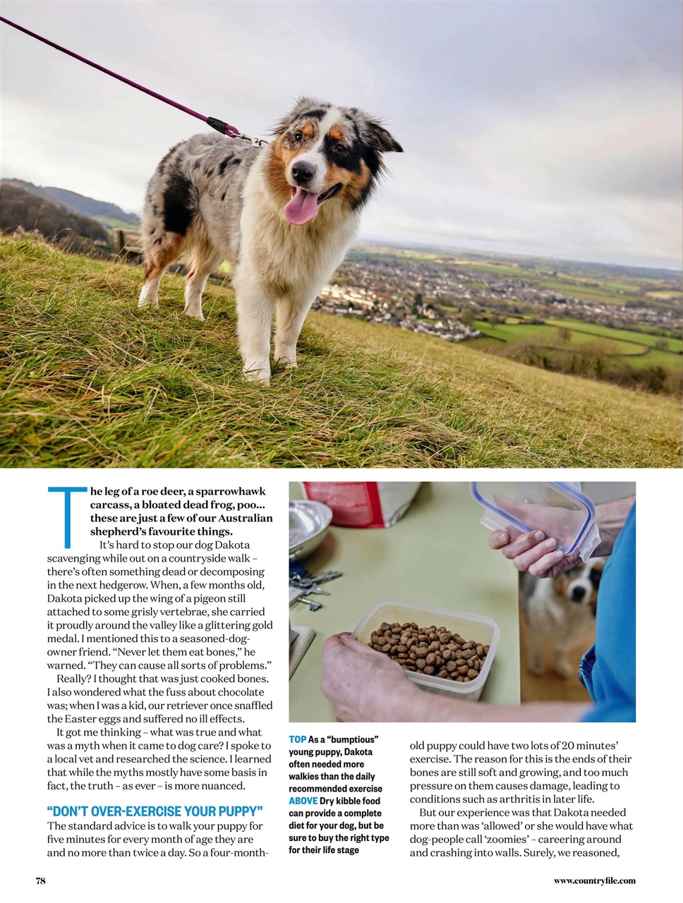 BBC Countryfile Magazine - March 2024 Back Issue