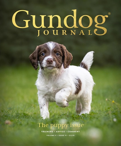 Gundog Journal Magazine - Volume V Issue VI Edição anterior