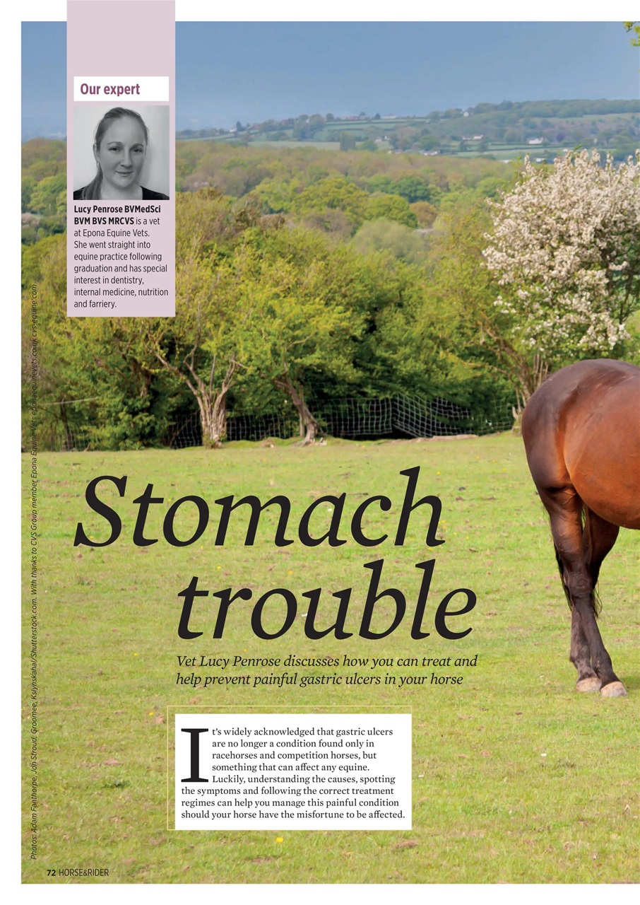 Horse&Rider Magazine - UK equestrian magazine for Horse and Rider ...