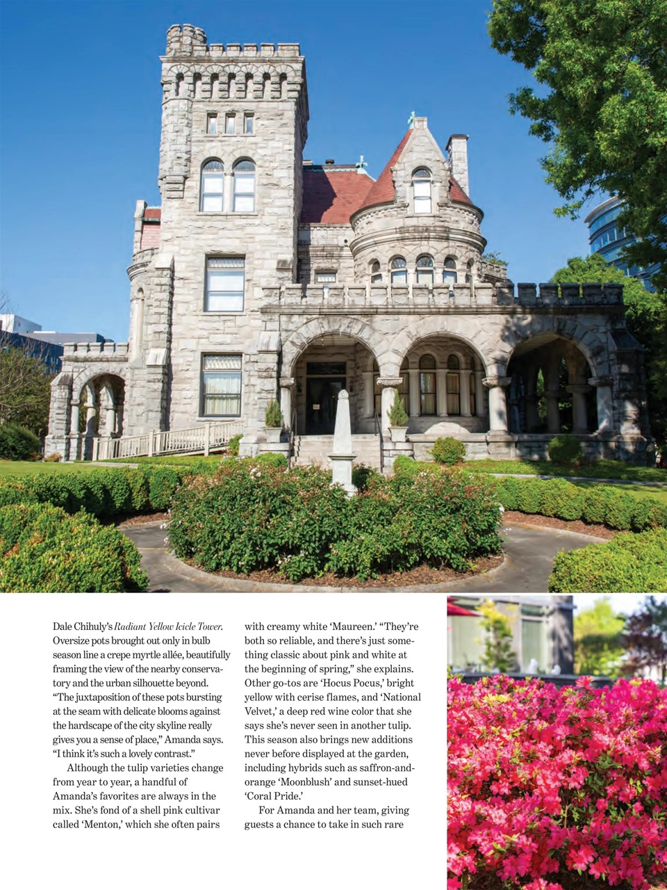 Southern Lady Magazine - March/April 2024 Back Issue