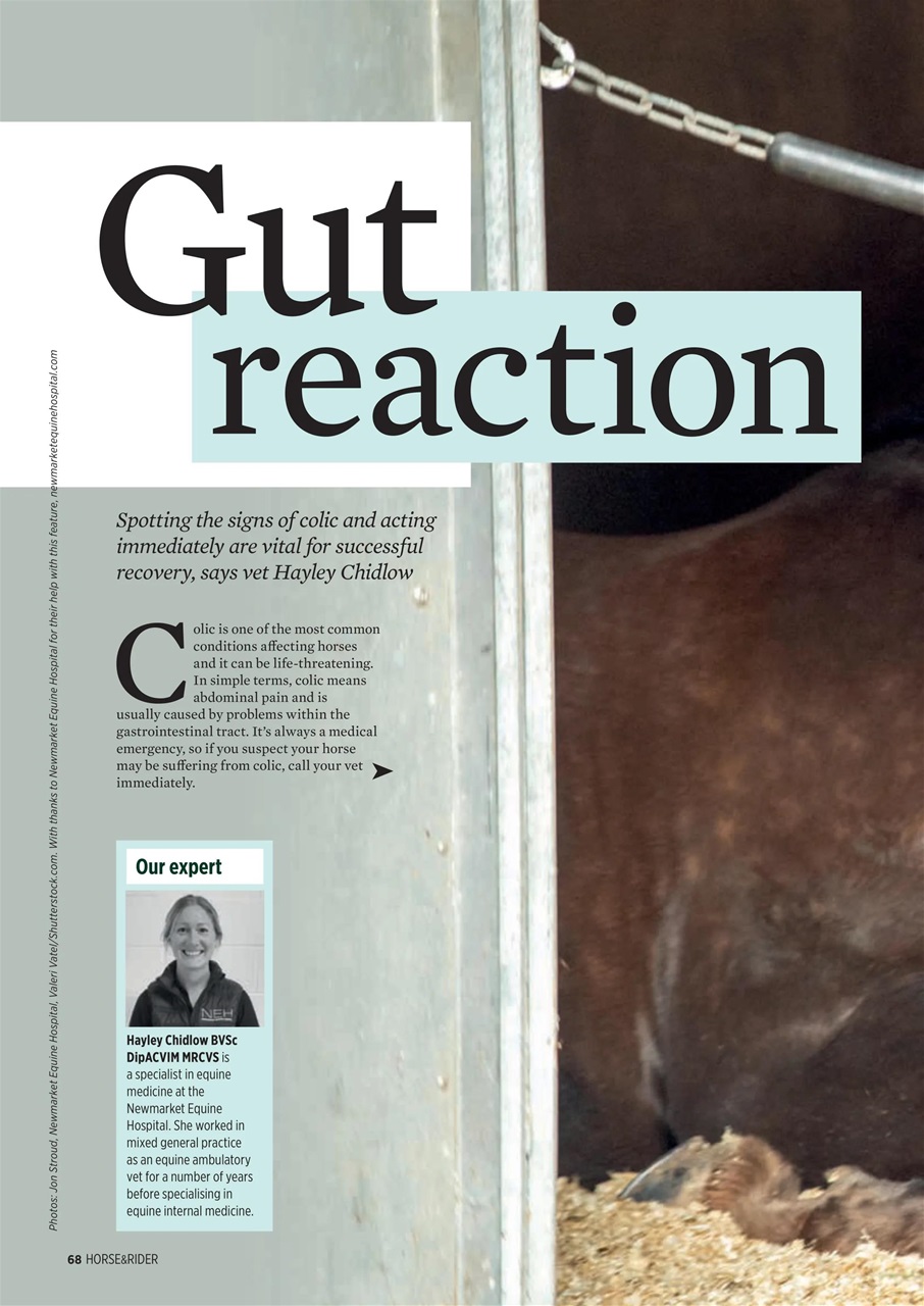 Horse&Rider Magazine - UK equestrian magazine for Horse and Rider ...