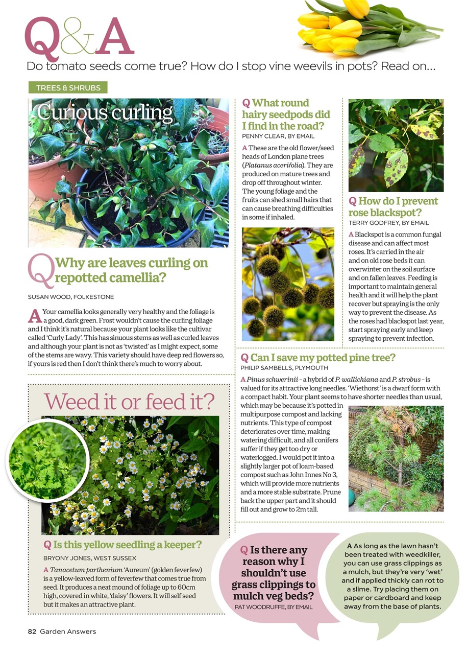 Garden Answers Magazine - April 2024 Back Issue