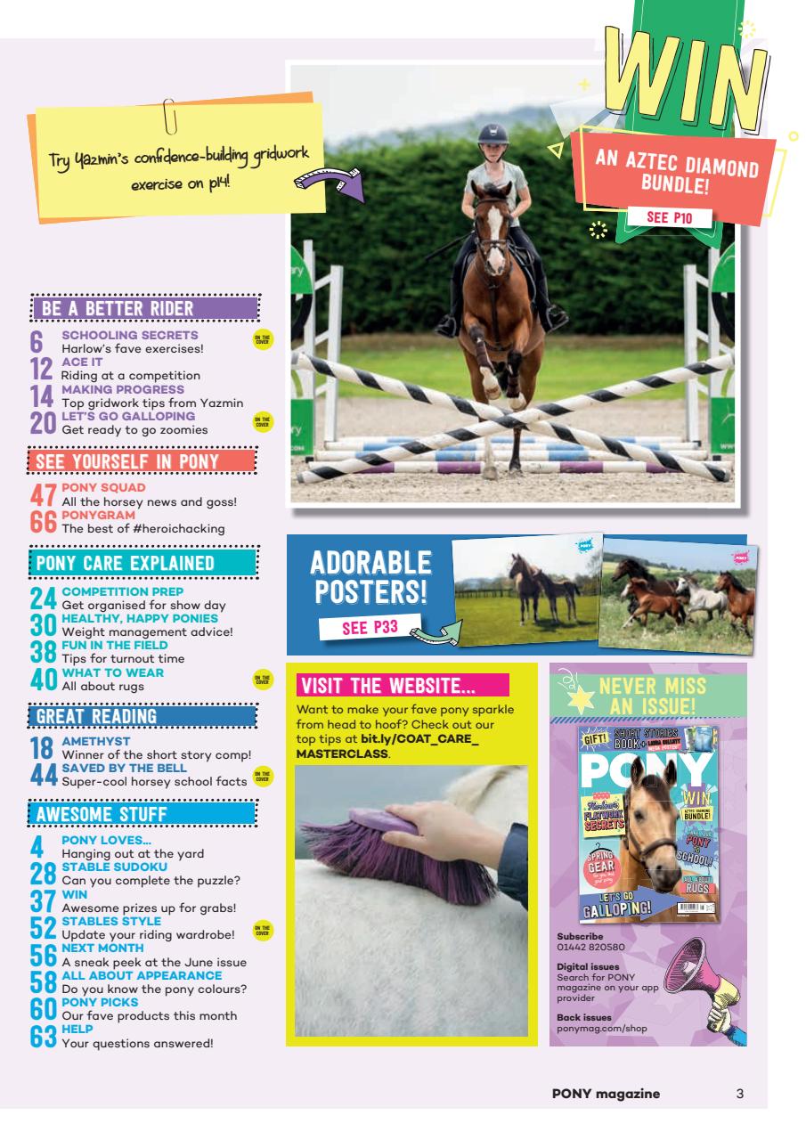 Pony Magazine - PONY Magazine – May 2024 Back Issue