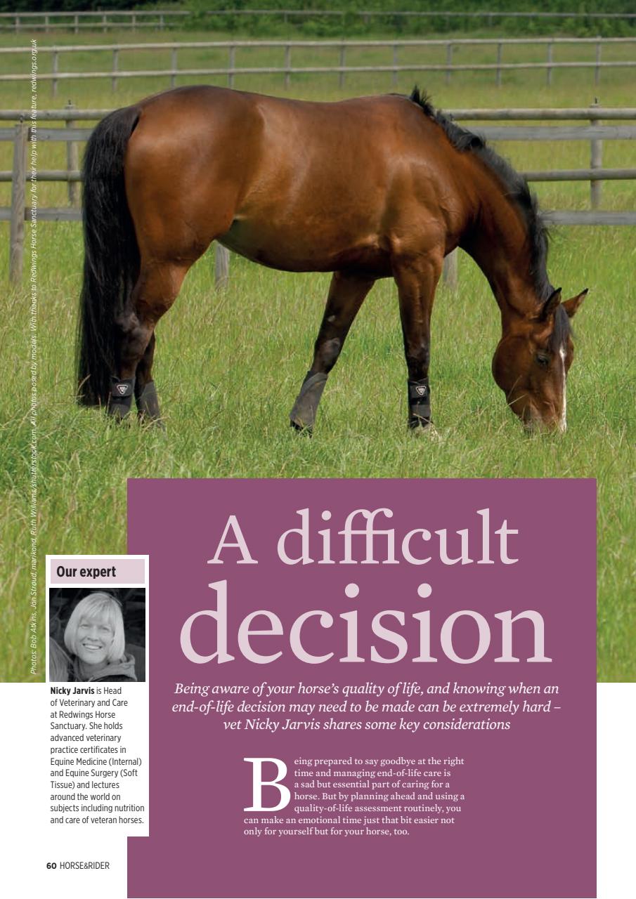Horse&Rider Magazine - UK equestrian magazine for Horse and Rider ...