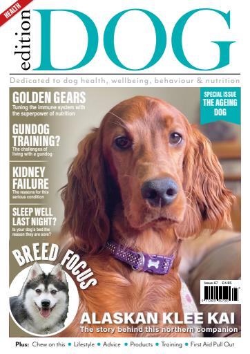 Edition Dog Magazine - Edition Dog Issue 67 Retour à l'édition précédente