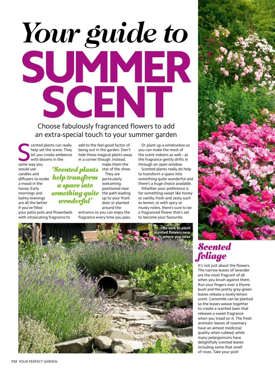 Home Interests Bookazine - Your Perfect Garden Fourth Edition Back Issue