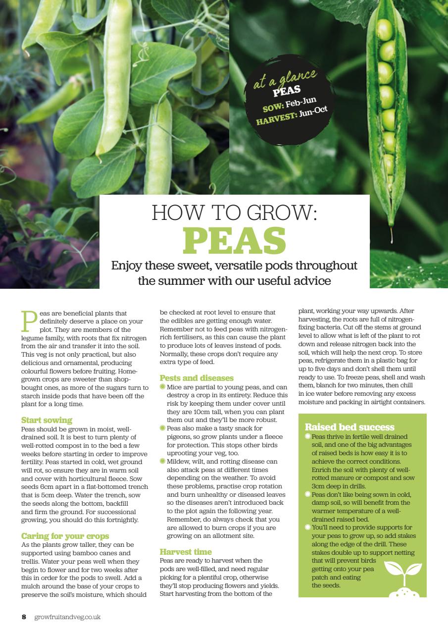 Grow Your Own Magazine - May-24 Back Issue Grow Your Own Magazine - May-24 Back Issue