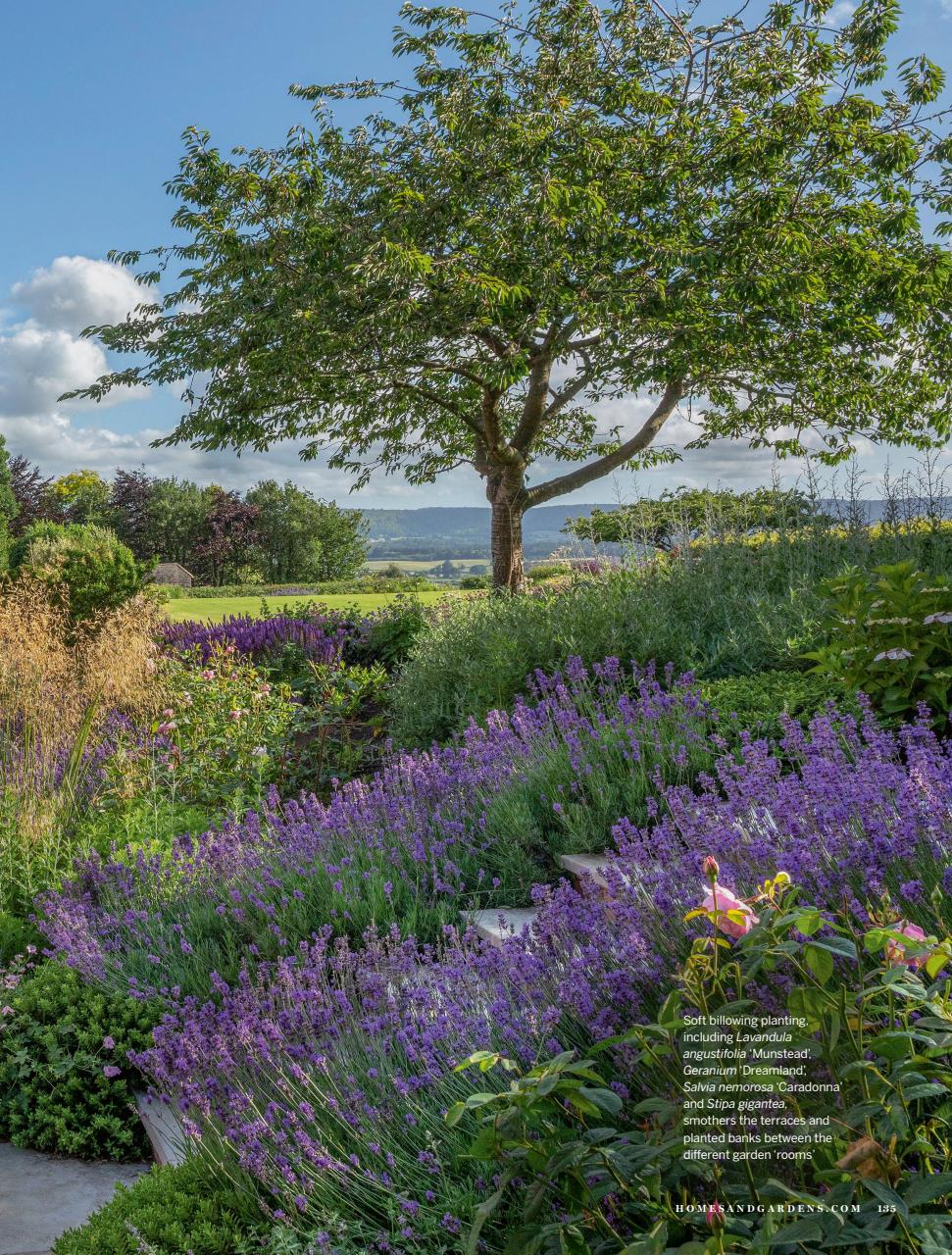 Homes & Gardens Magazine - June 2024 Back Issue