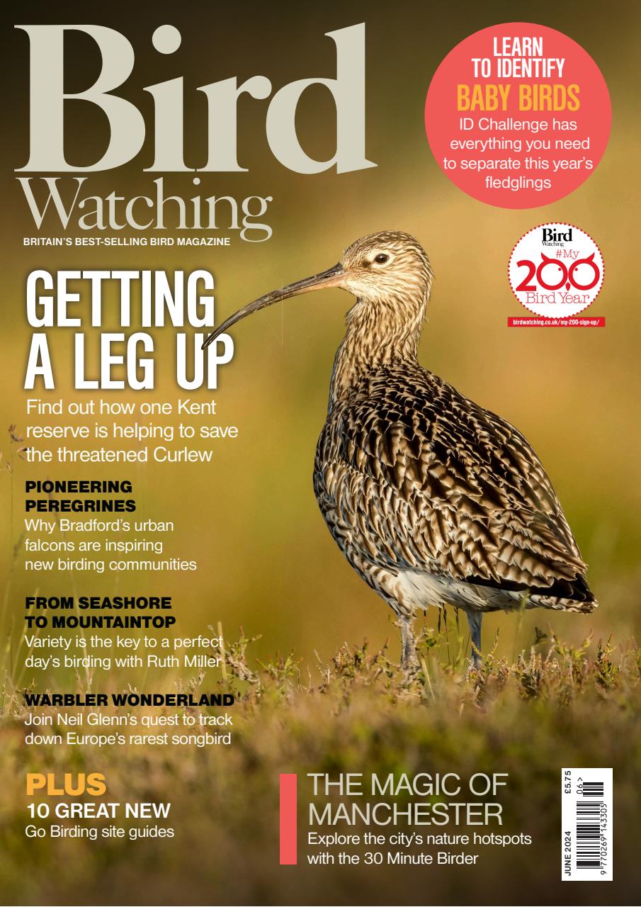 Bird Watching Magazine Subscriptions and June-24 Issue