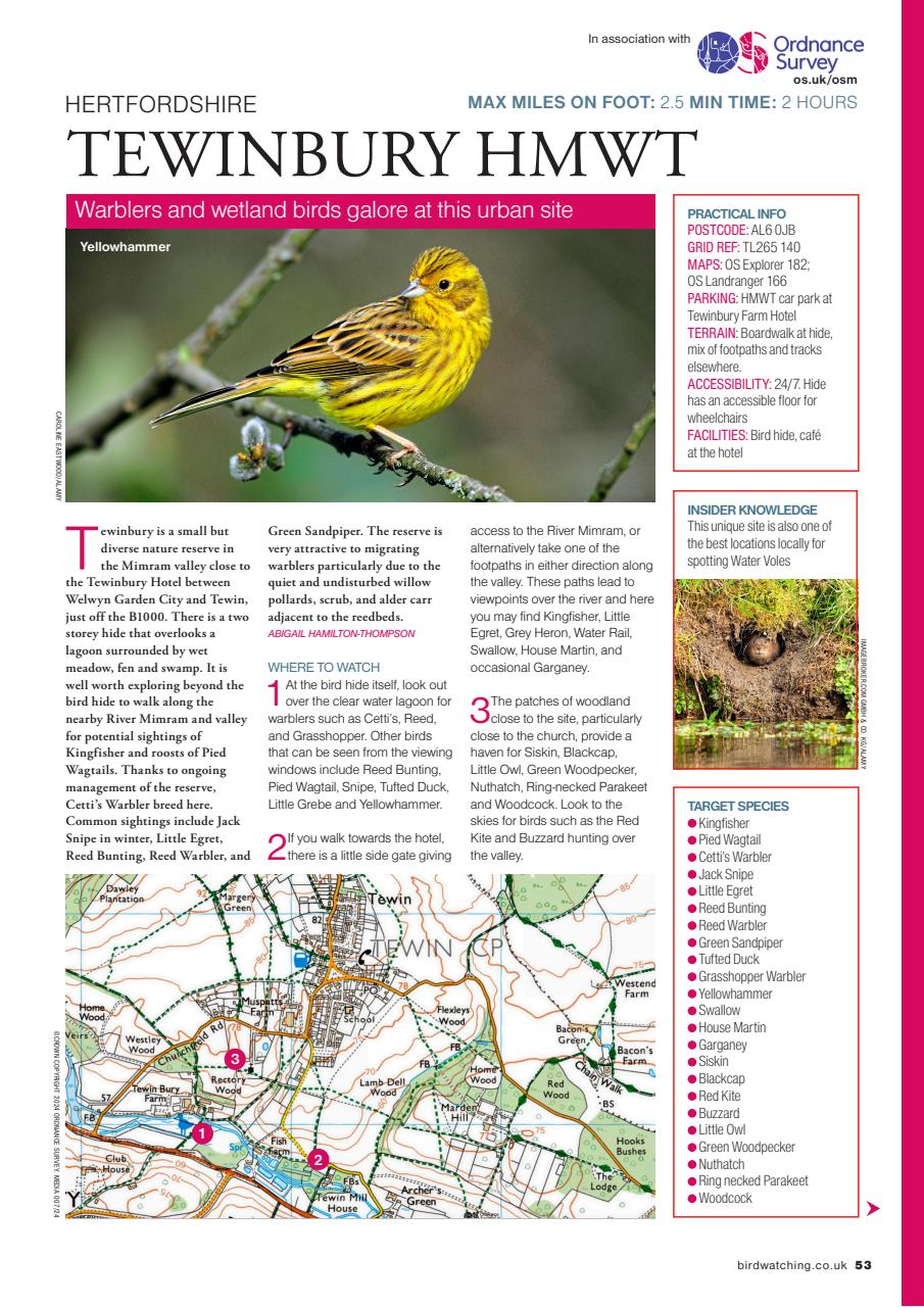 Bird Watching Magazine Subscriptions and June-24 Issue