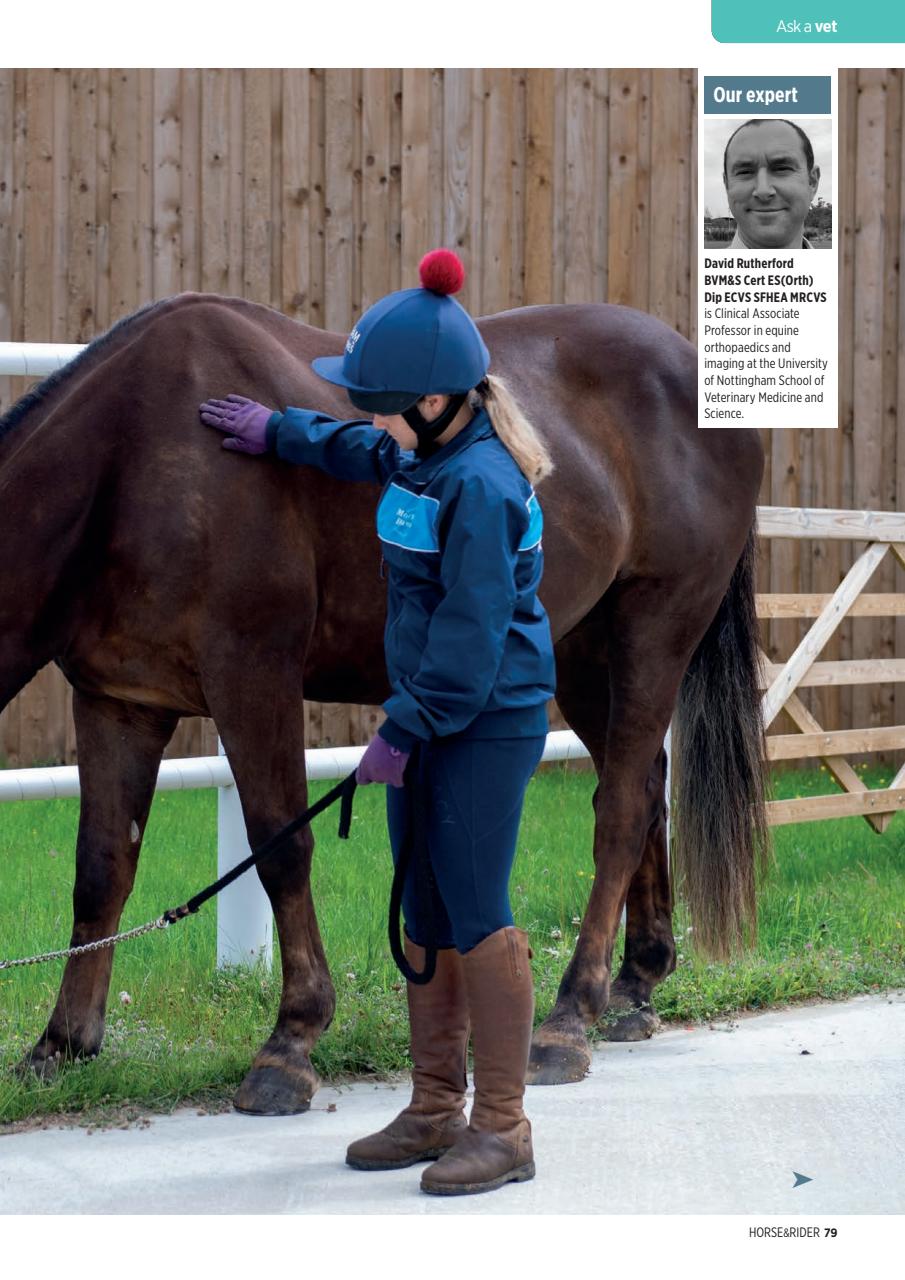 Horse&Rider Magazine - UK equestrian magazine for Horse and Rider ...