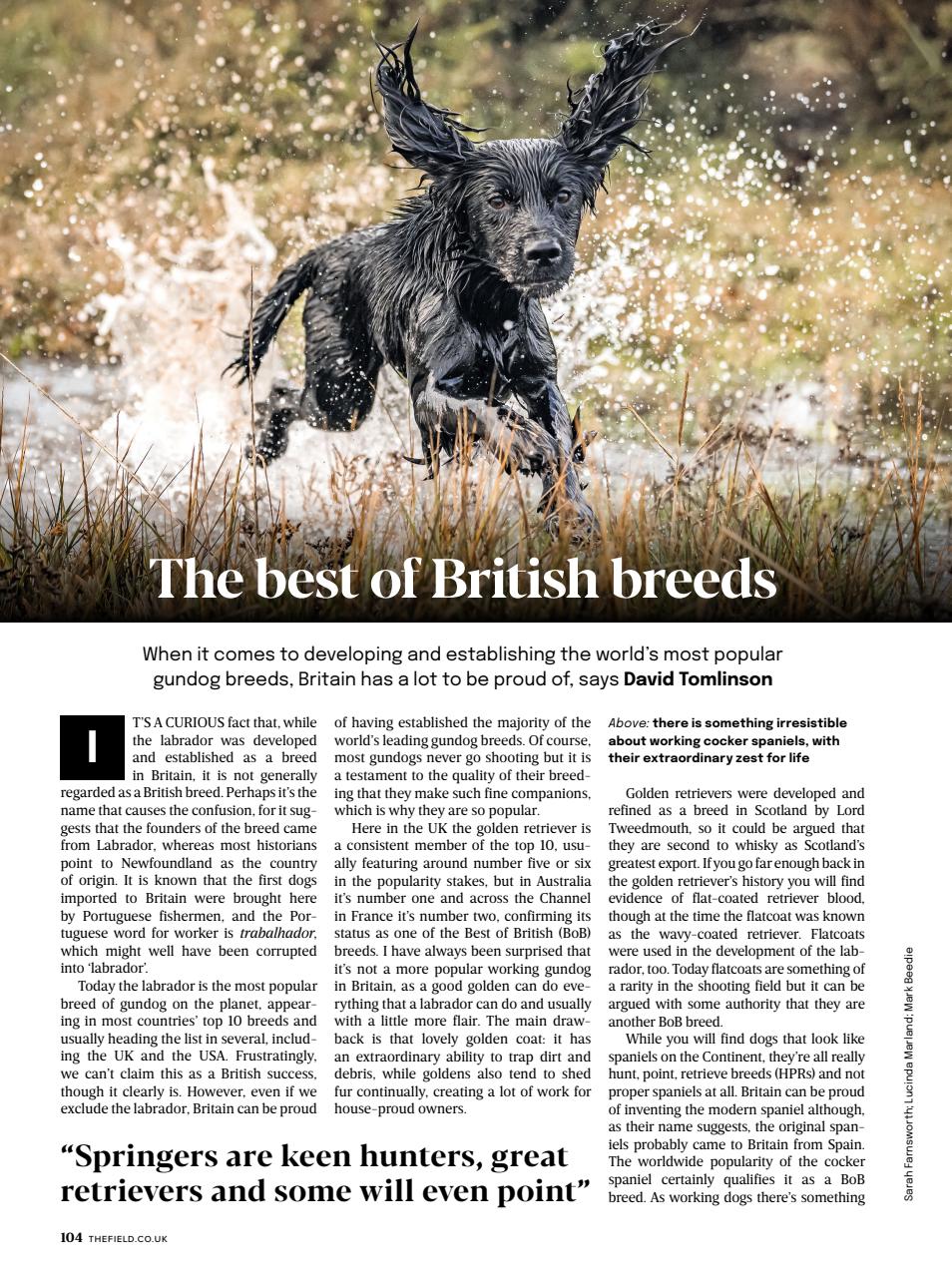 The Field Magazine - June 2024 Back Issue