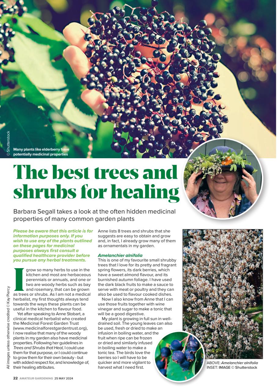 Amateur Gardening Magazine - 25th May 2024 Back Issue