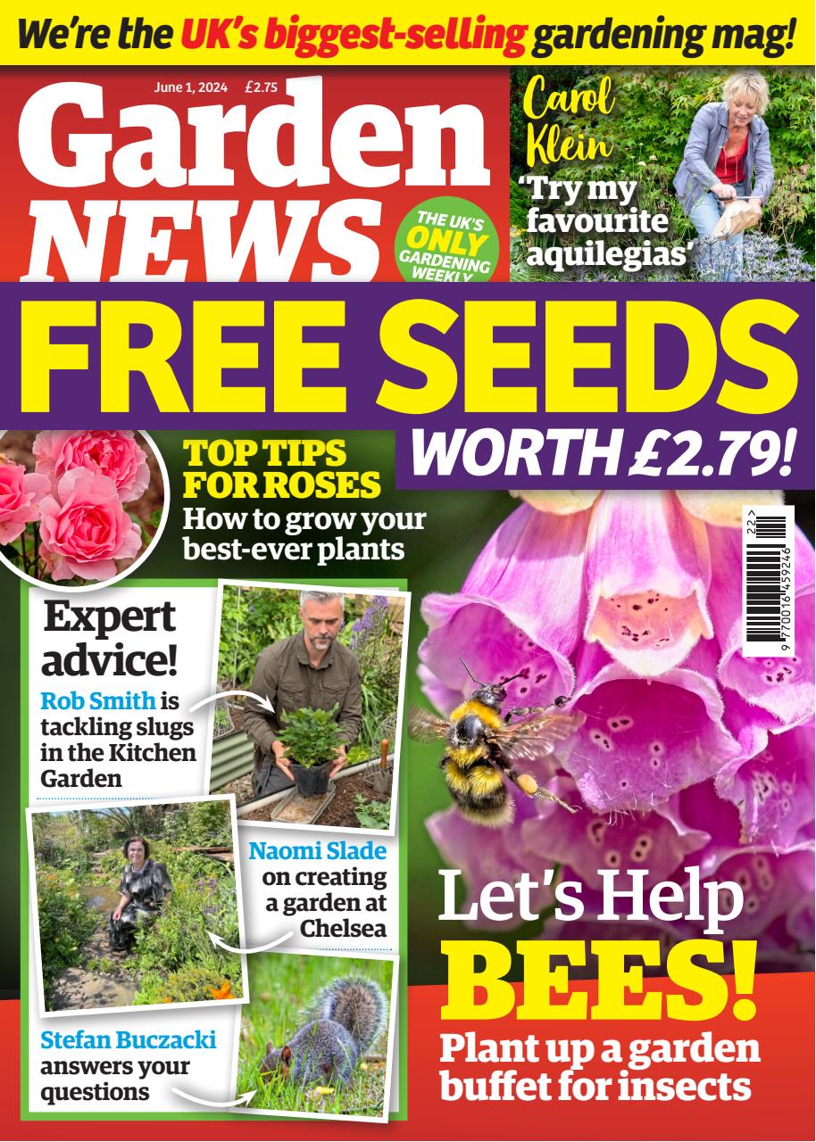 Garden News Magazine - 01-Jun-2024 Back Issue