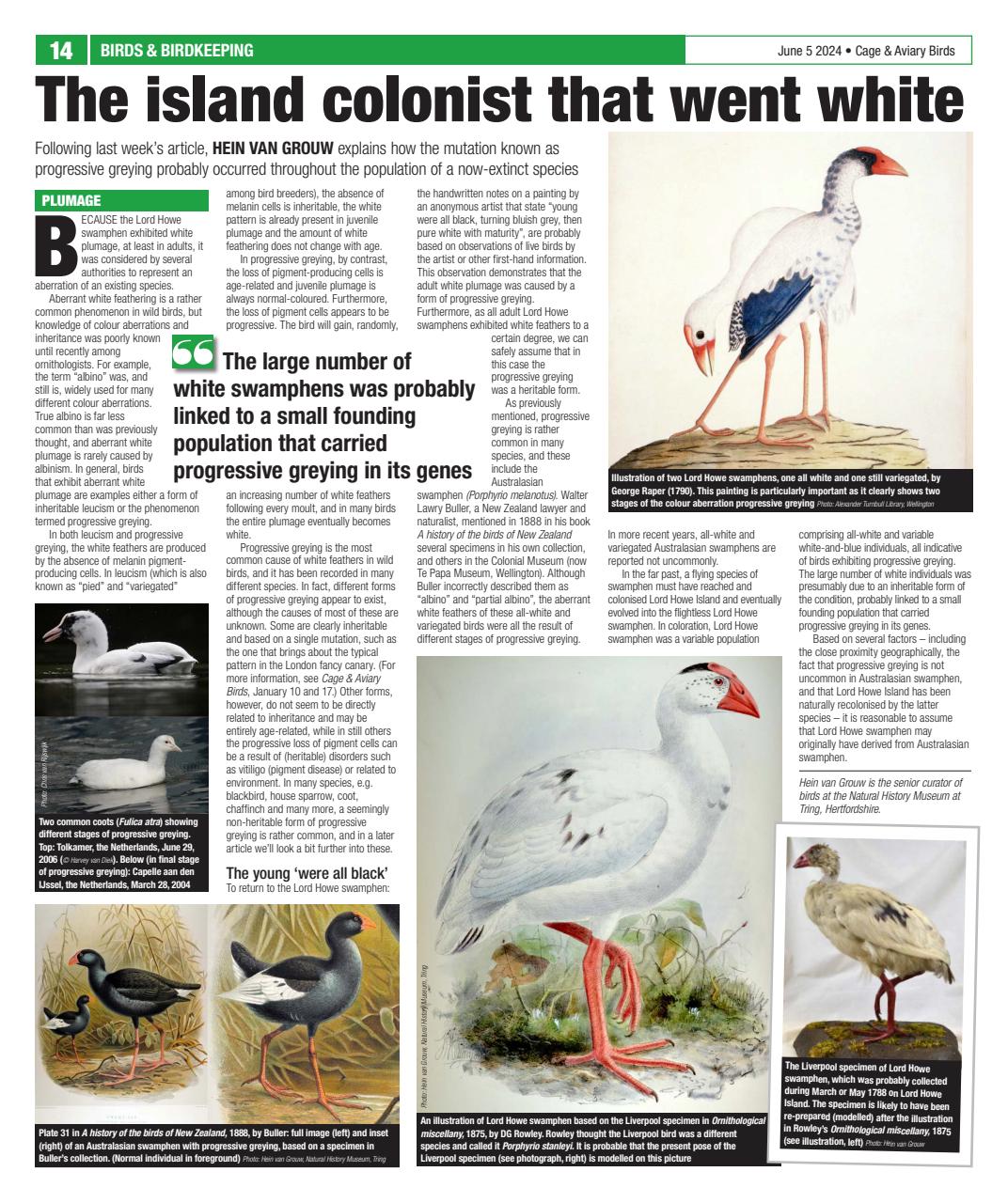 Cage & Aviary Birds Magazine - 5-Jun-24 Back Issue