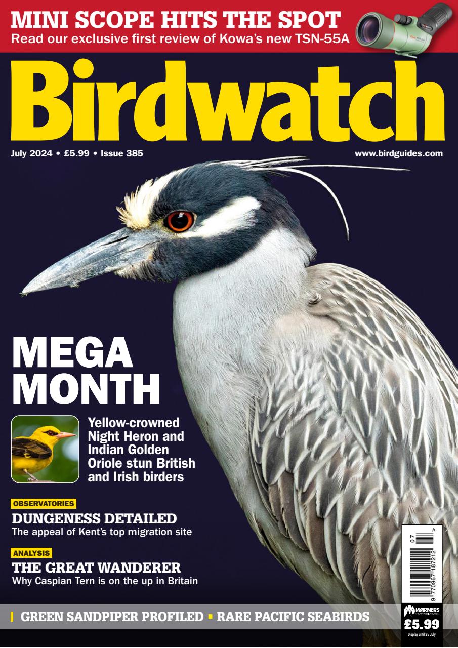 Birdwatch Magazine Subscriptions and July 2024 Issue