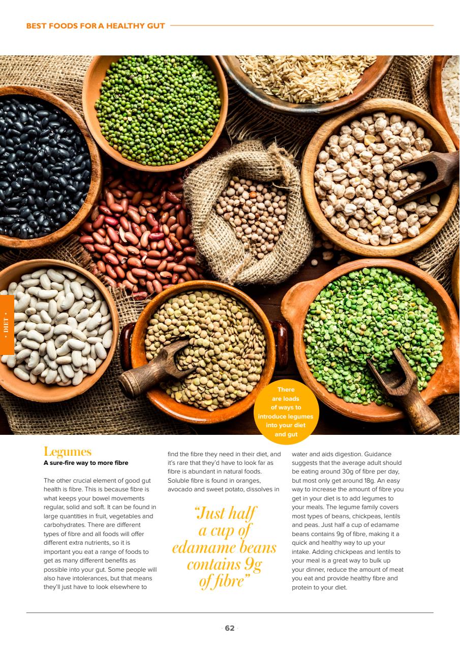 Lifestyle Bookazine - The Gut Health Book Sixth Edition Back Issue