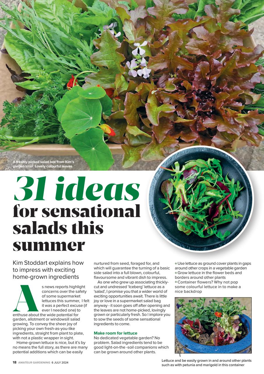 Amateur Gardening Magazine - 06 July 2024 Back Issue