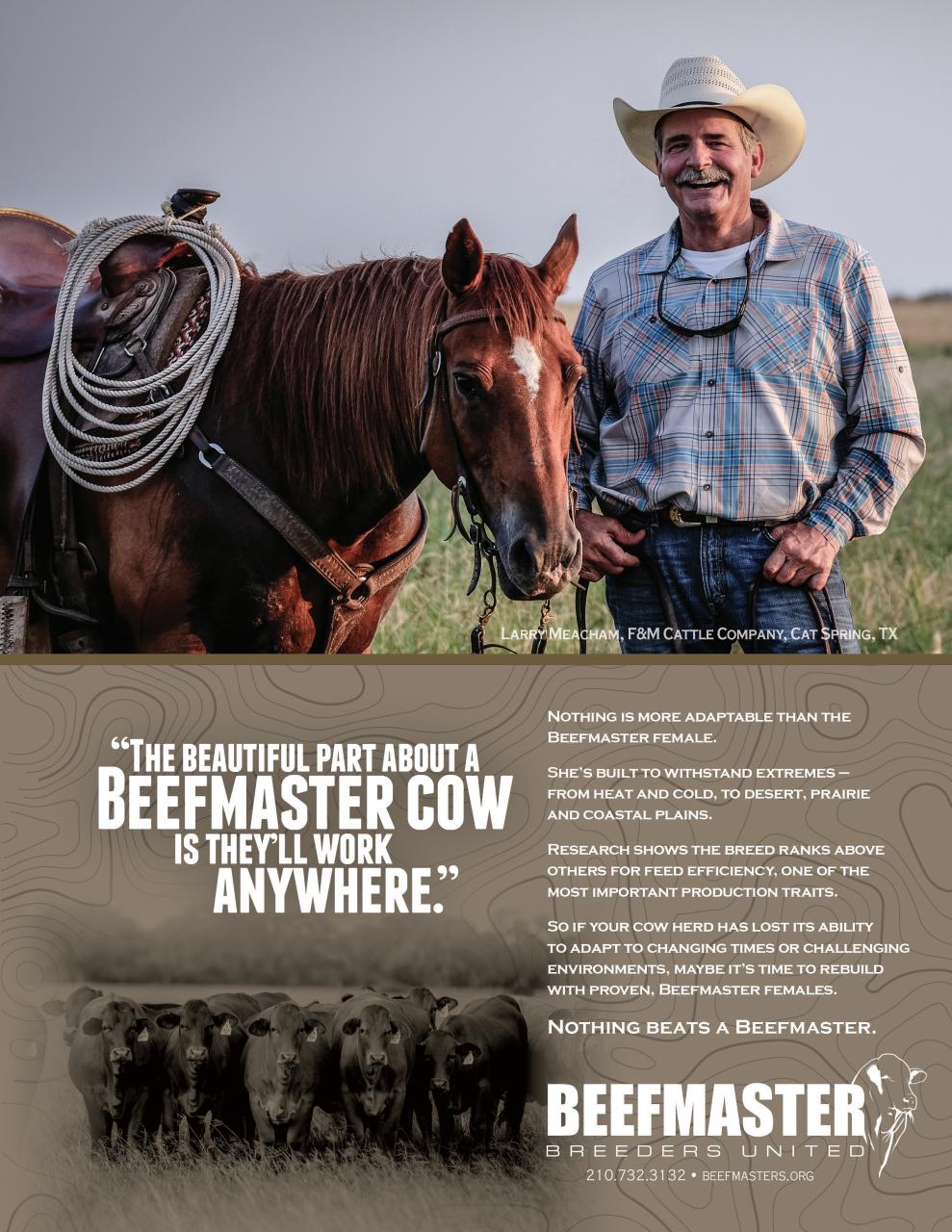 Rodeo Life Magazine - NFR 2021 Back Issue