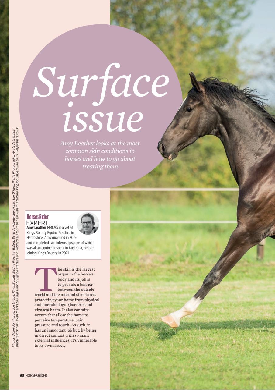 Horse&Rider Magazine - UK equestrian magazine for Horse and Rider ...