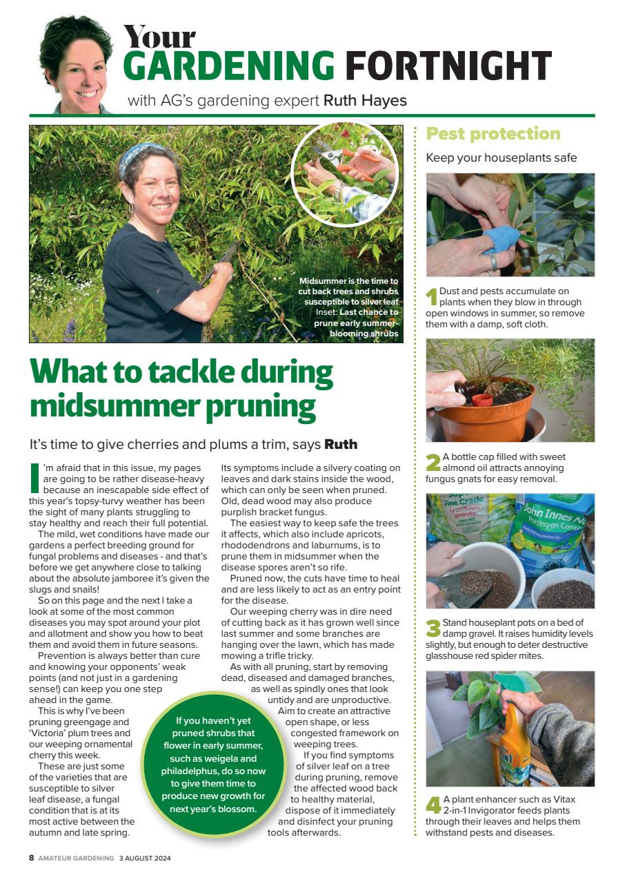 Amateur Gardening Magazine - 3rd August 2024 Back Issue