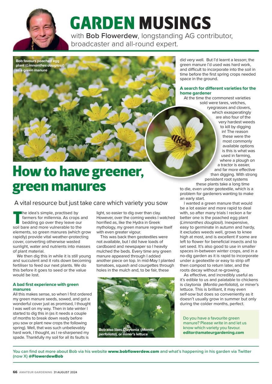 Amateur Gardening Magazine - 31st August 2024 Back Issue