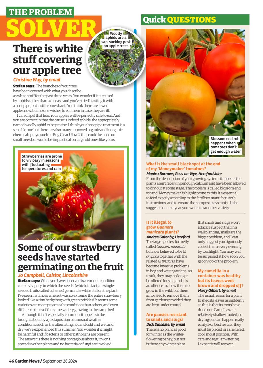 Garden News Magazine - 28-Sep-2024 Back Issue