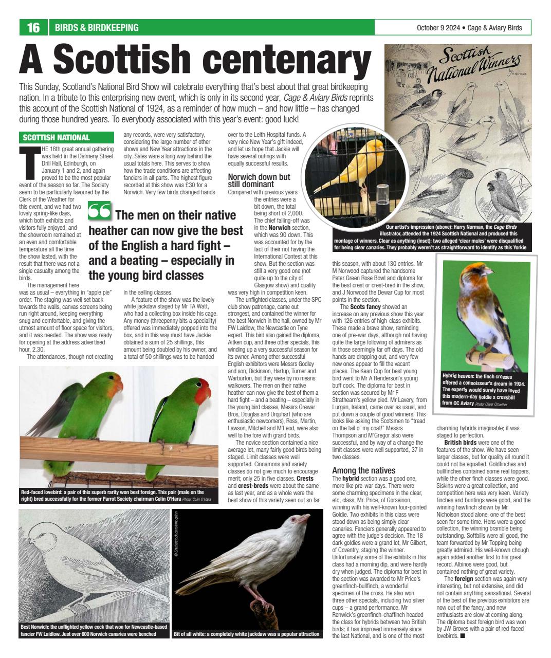 Cage & Aviary Birds Magazine - 9-Oct-24 Back Issue