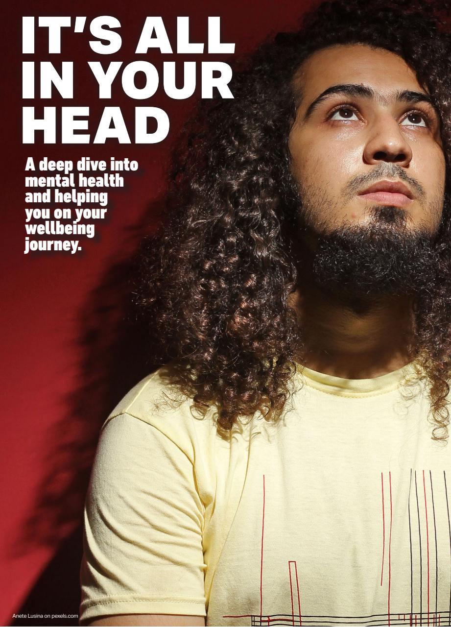 FS International Magazine - FS 204 Edición anterior