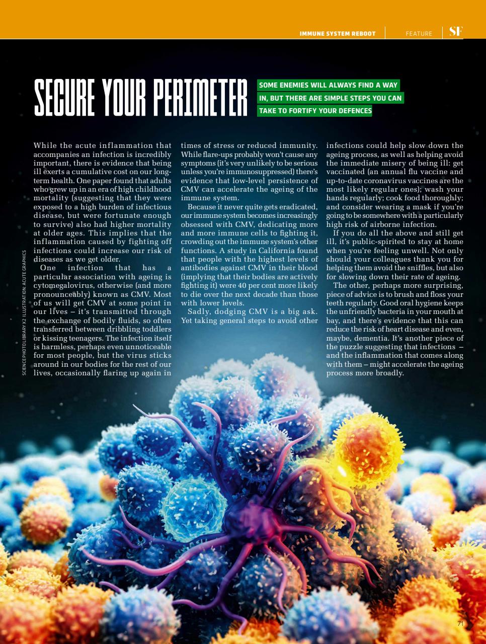 BBC Science Focus Magazine - November 2024 Edición anterior