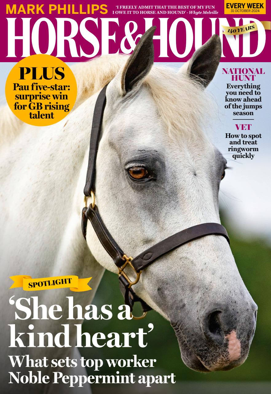 Horse & Hound Magazine - 31 Oct 2024 Back Issue