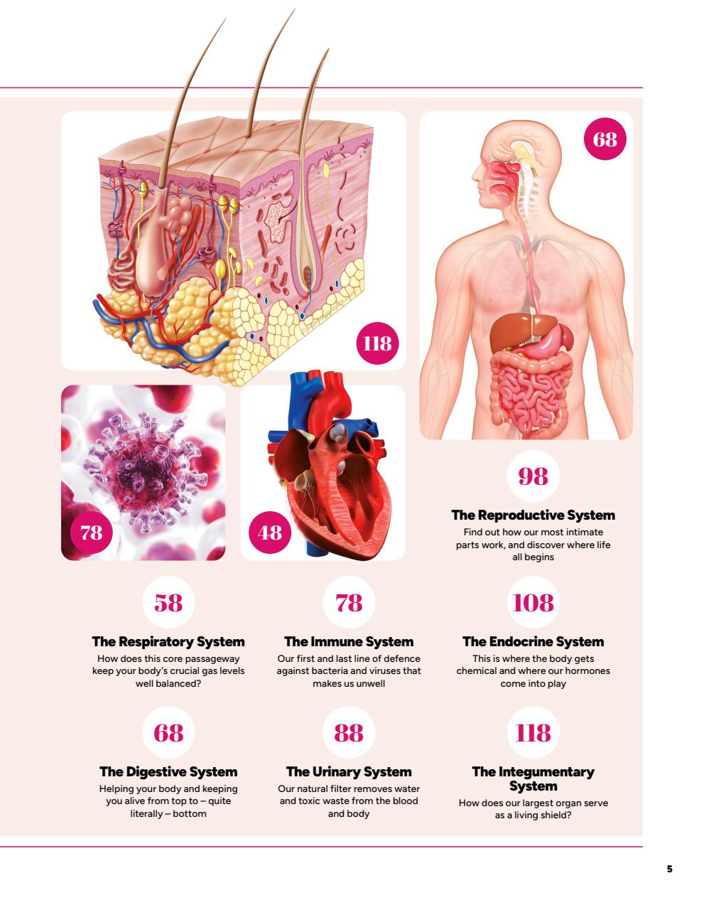 How It Works Bookazine - Complete Guide To The Human Body Second ...