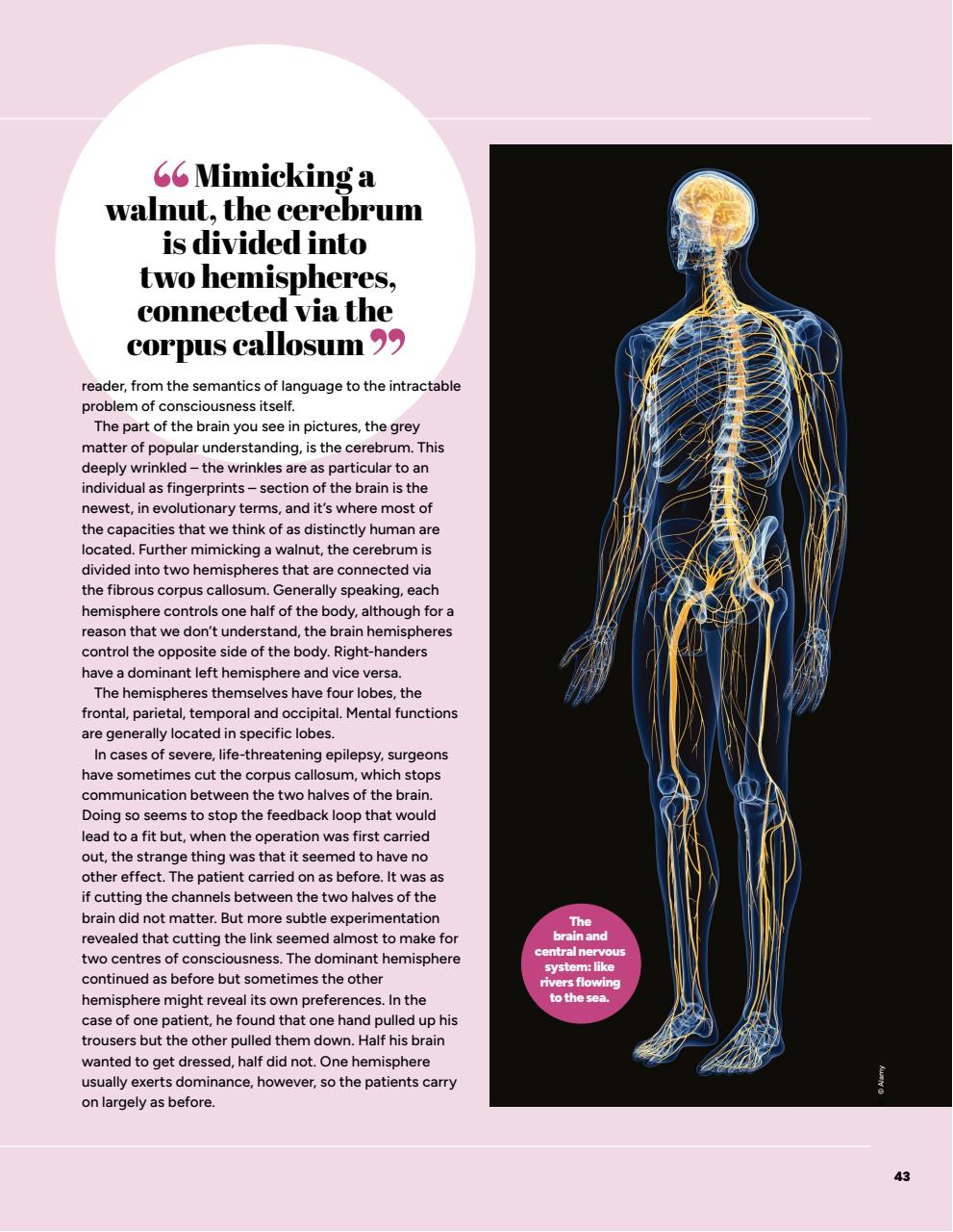 How It Works Bookazine - Complete Guide To The Human Body Second ...