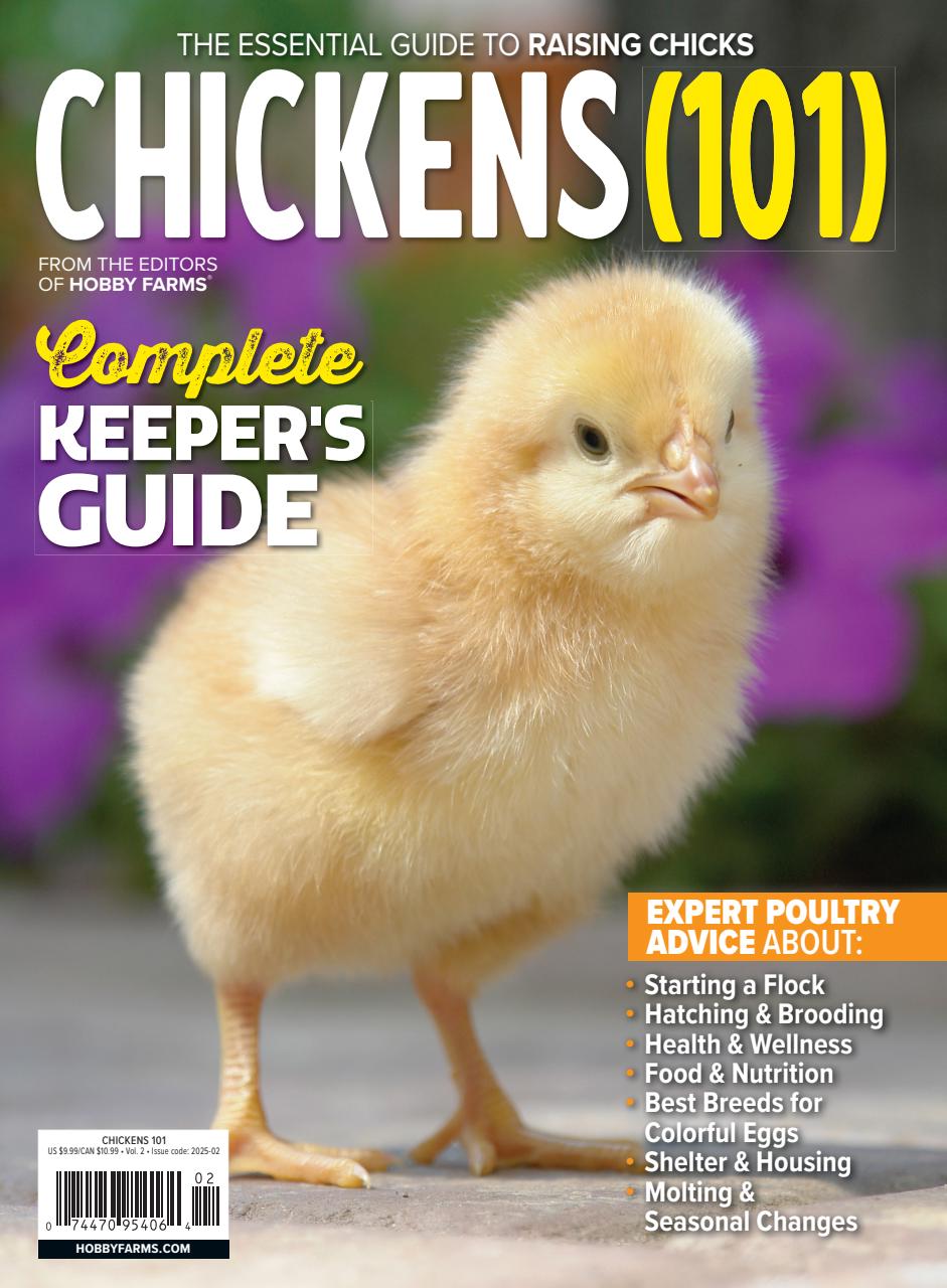 Chickens Magazine - 2025-02 (Chickens 101) Special Issue