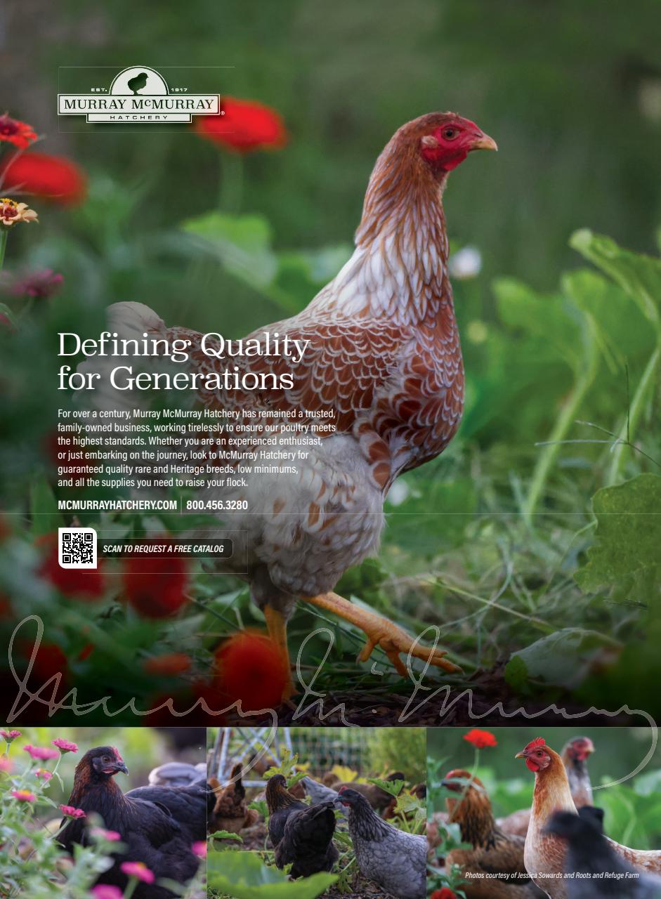 Chickens Magazine - 2025-02 (Chickens 101) Édition spéciale