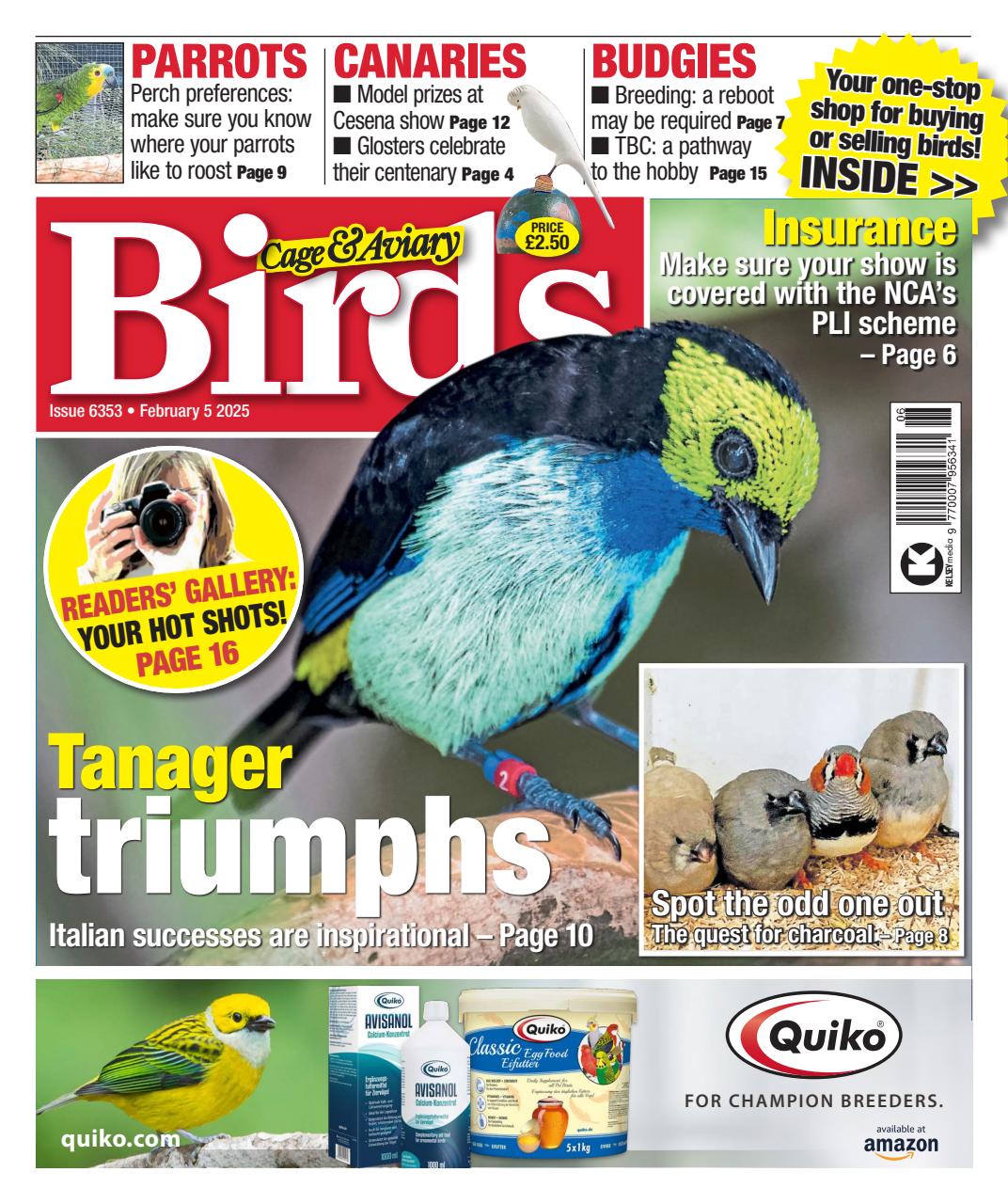 Cage & Aviary Birds Magazine - 5-Feb-25 Back Issue