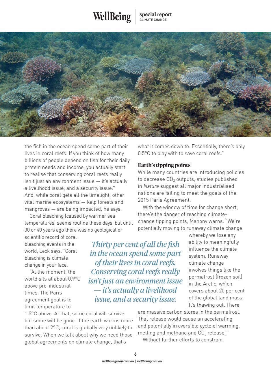 WellBeing Magazine - What is Global Warming and climate change Edición ...