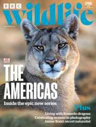 BBC Wildlife Magazine Subscriptions and Spring 2025 Issue
