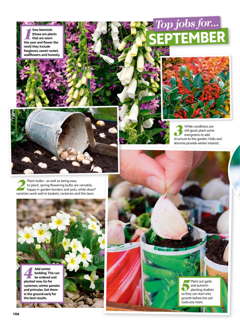 Home Interests Bookazine - Gardening Made Simple Third Edition Back Issue