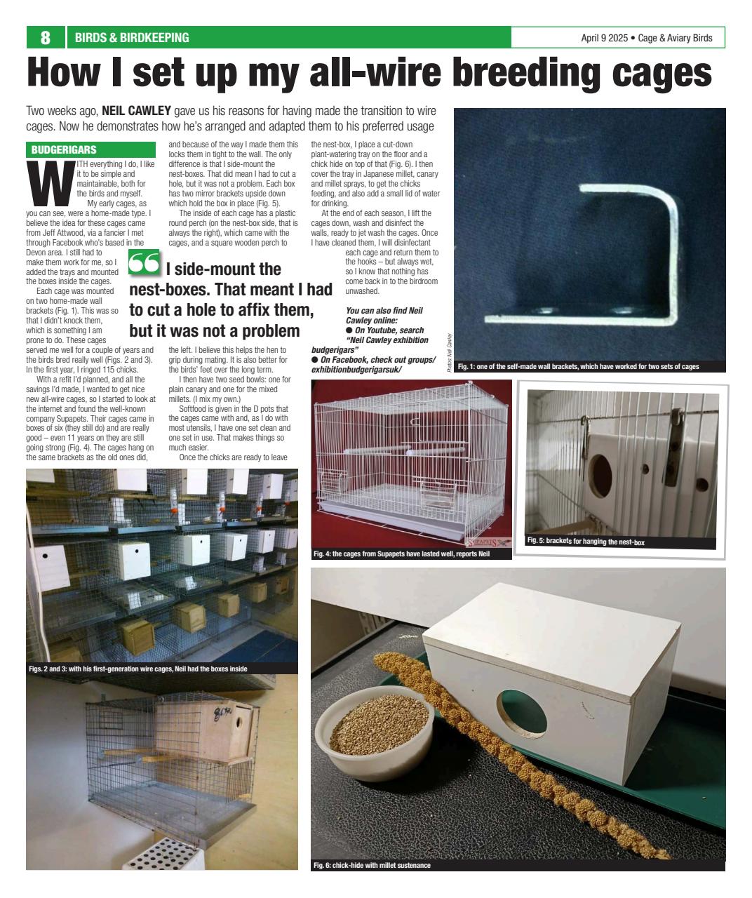 Cage & Aviary Birds Magazine - 9-Apr-25 Back Issue