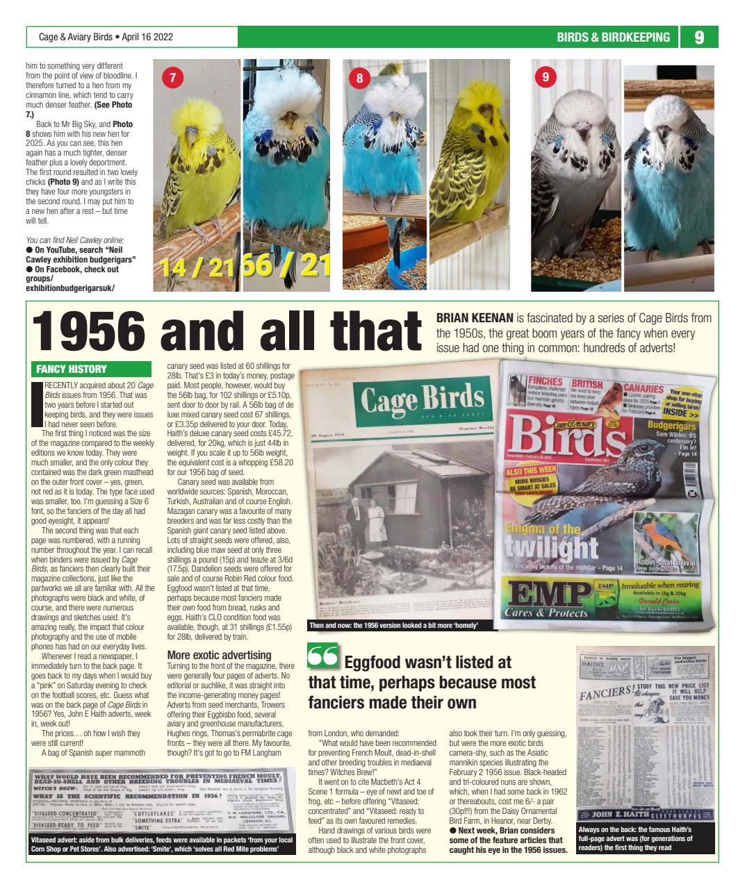 Cage & Aviary Birds Magazine - 16th April 2025 Back Issue