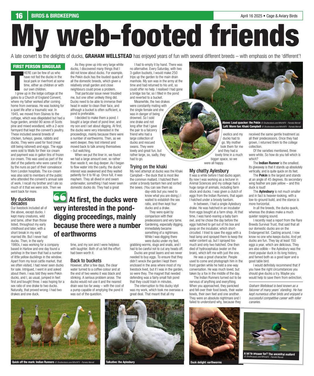 Cage & Aviary Birds Magazine - 16th April 2025 Back Issue