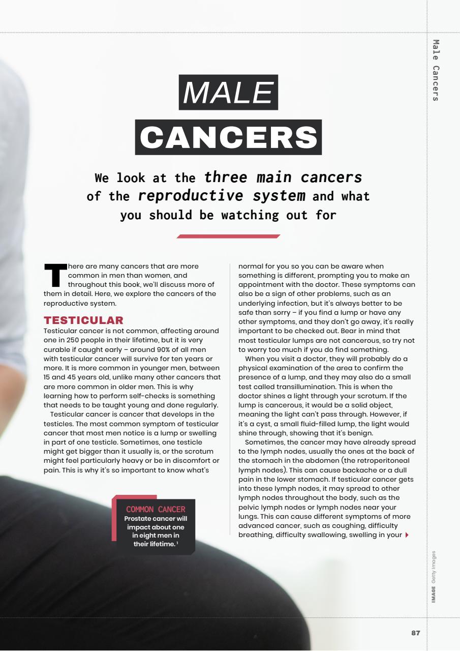 Lifestyle Bookazine - Healthy Men's Handbook First Edition Back Issue