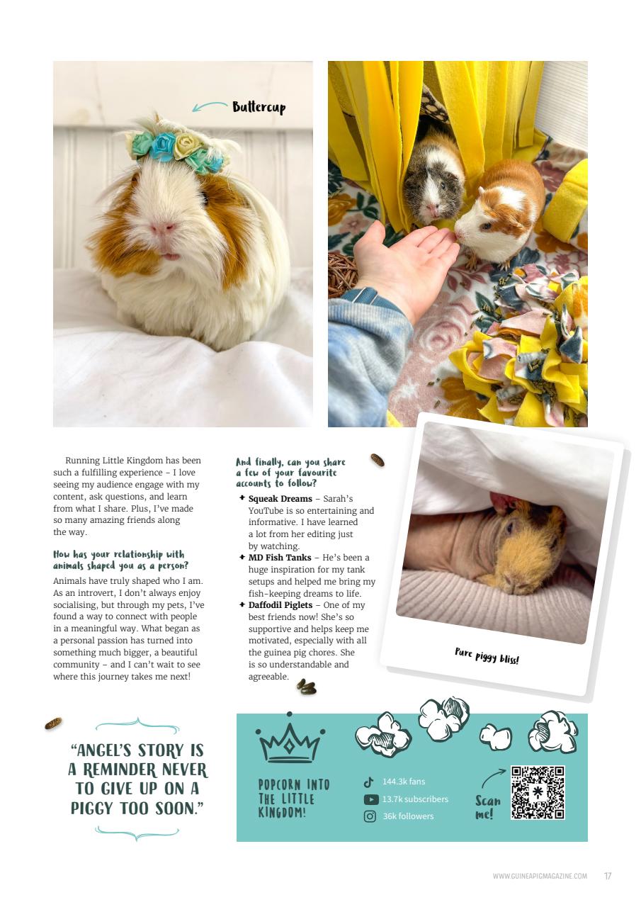 Guinea Pig Magazine - Issue 87 (July/Aug) Back Issue