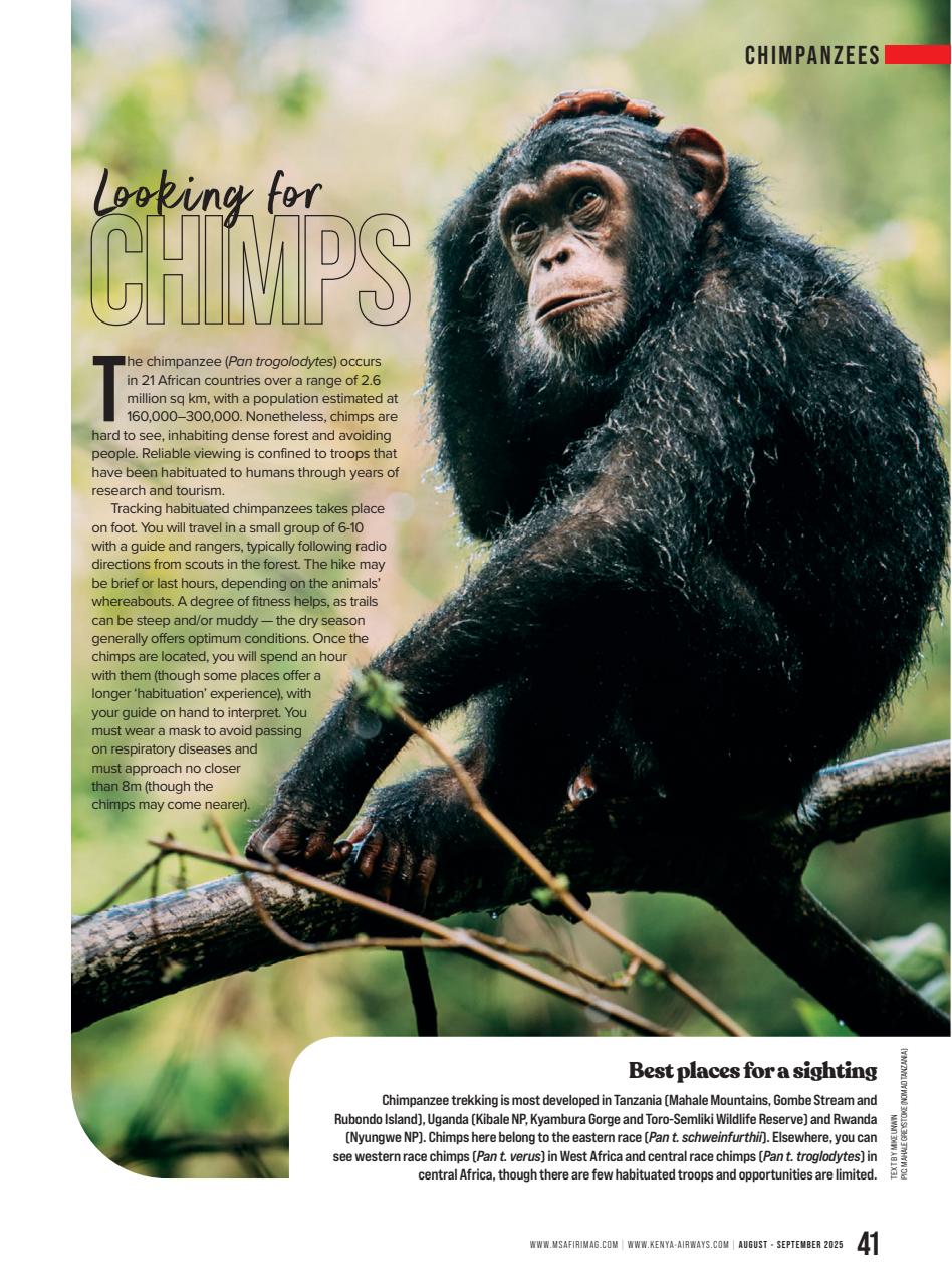 MSAFIRI – Kenya Airways Inflight Magazine - August - September 2025 ...