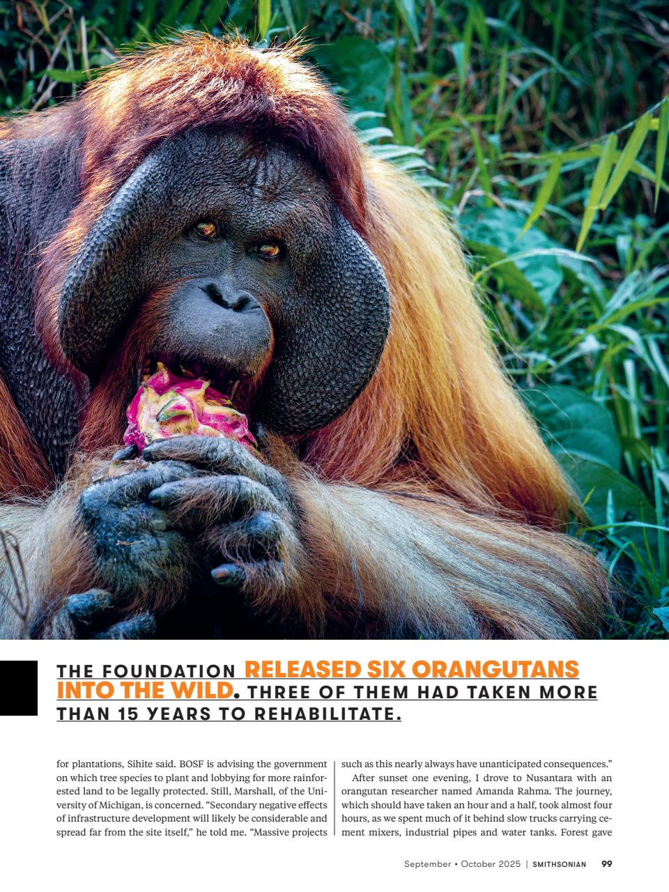 Smithsonian Magazine Subscriptions and September/ October 2025 Issue