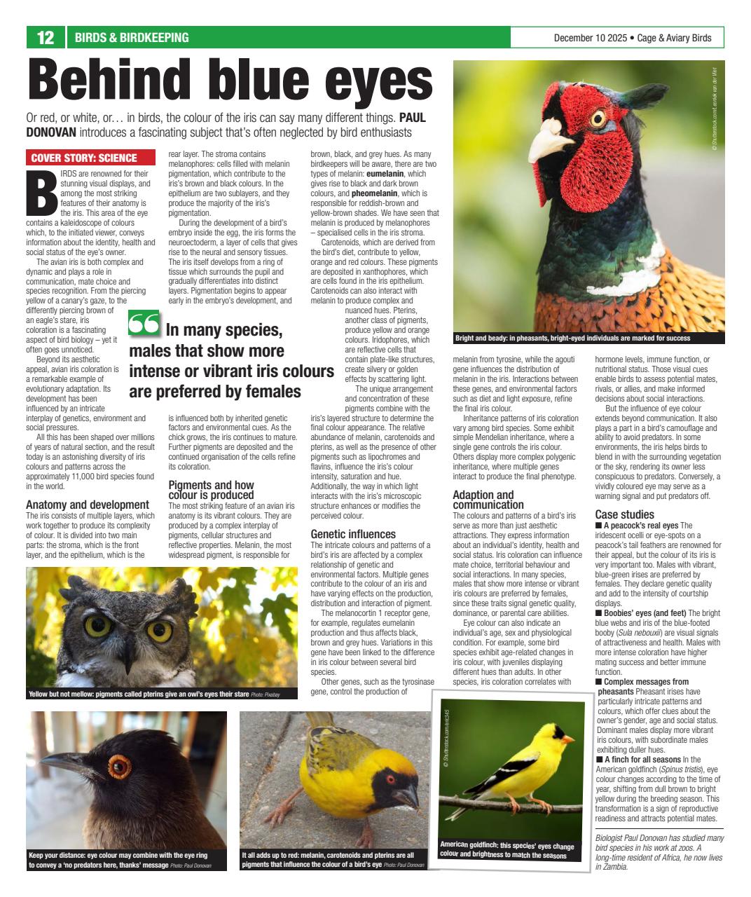 Cage & Aviary Birds Magazine Subscriptions and 10th December 2025 Issue