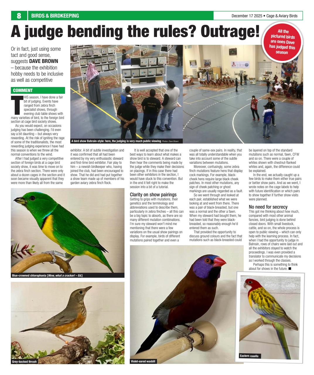 Cage & Aviary Birds Magazine Subscriptions and 17th December 2025 Issue