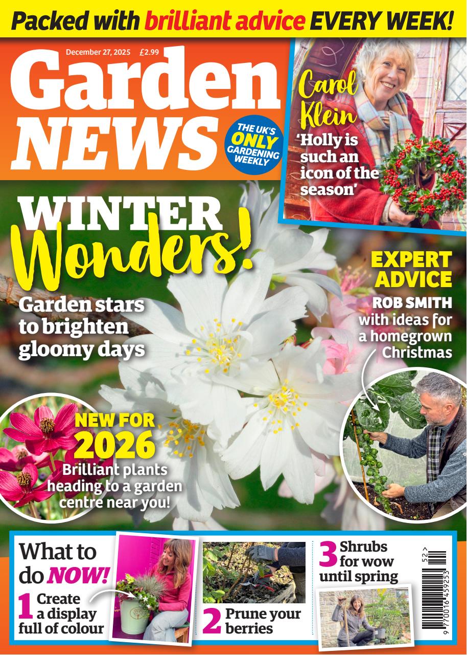 Garden News Magazine - 27-Dec-2025 Retour à l'édition précédente